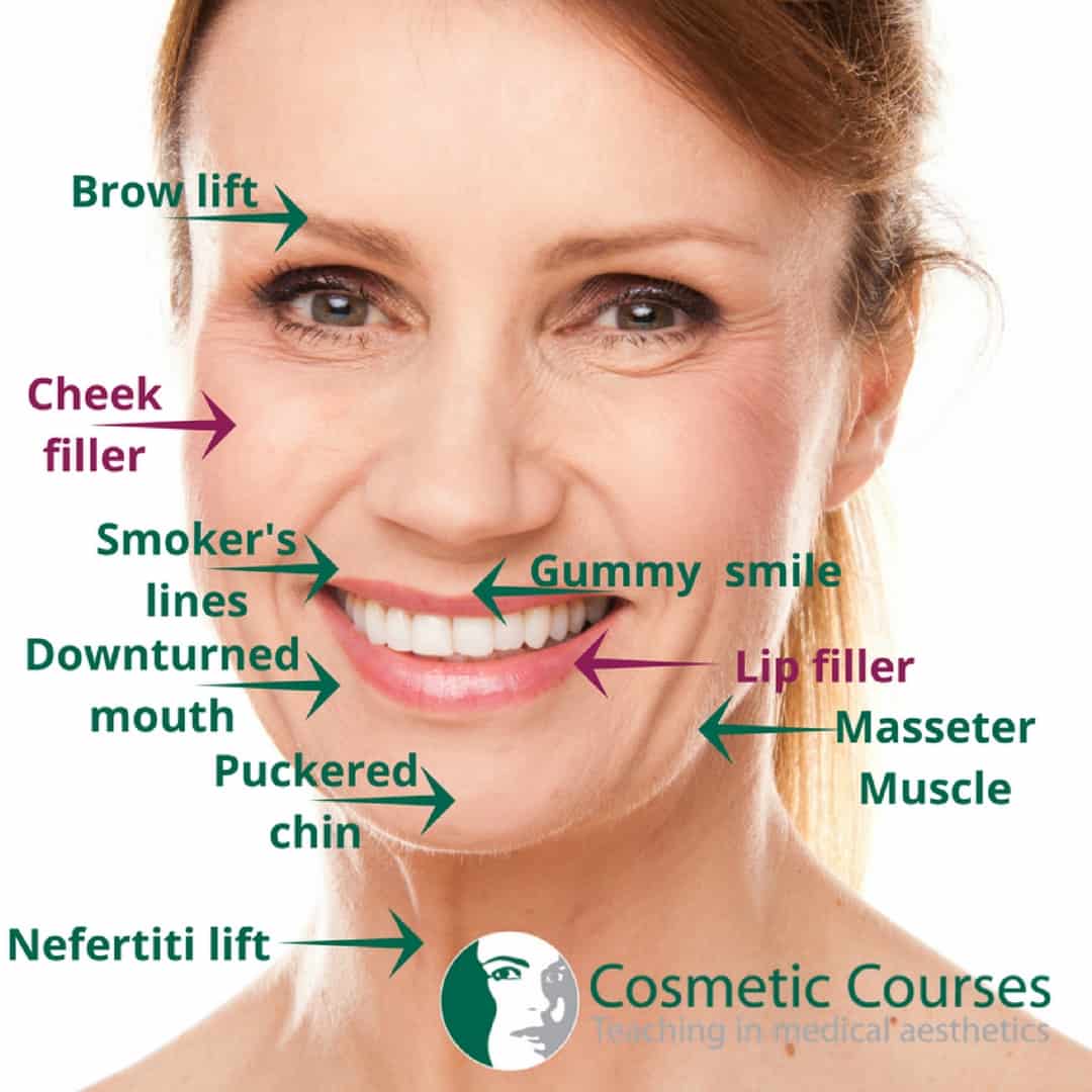 The Models Treatment Guide - Cosmetic Courses